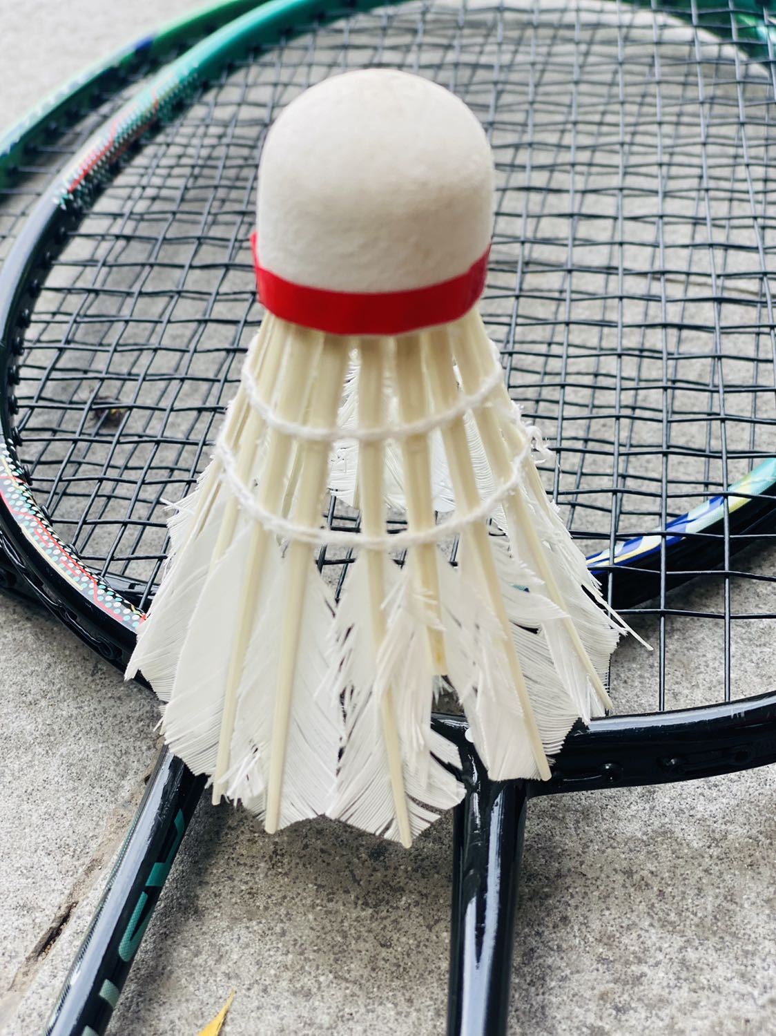 Review Ống Cầu Lông Tom & Jerry 12 trái