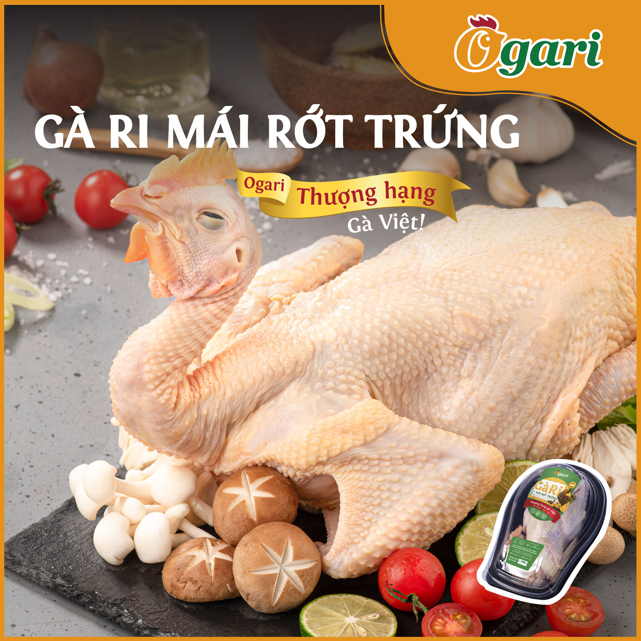 Mua Gà Ri Mái Rớt Trứng Ogari