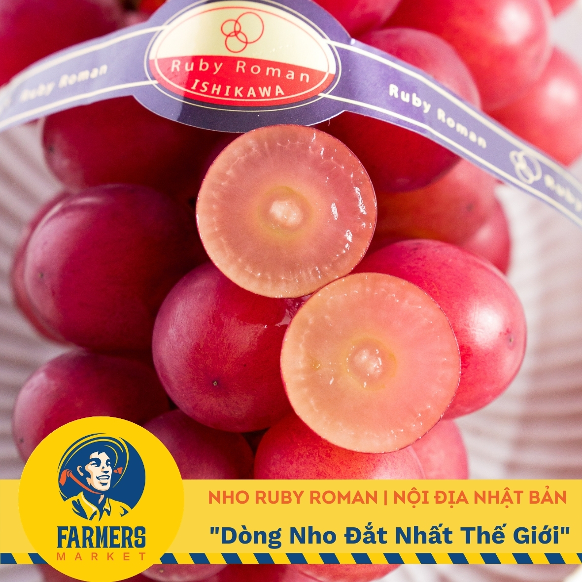 Mua [Chỉ Giao HCM] - Nho Ruby Roman Nhật Bản (1TRÁI)