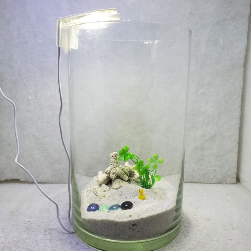 Review Bể cá mini để bàn tròn nuôi cá cảnh kích thước D18 H30 có tiểu cảnh