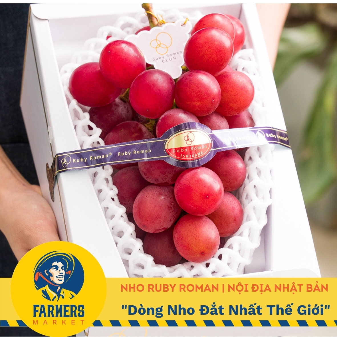 Mua [Chỉ Giao HCM] - Nho Ruby Roman Nhật Bản (1TRÁI)
